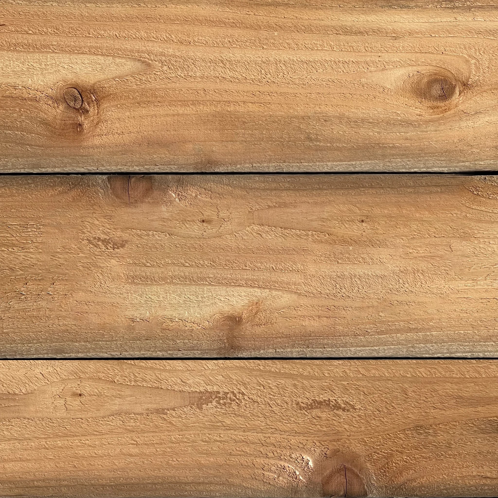 On Sale – Salty Dawg Saloon